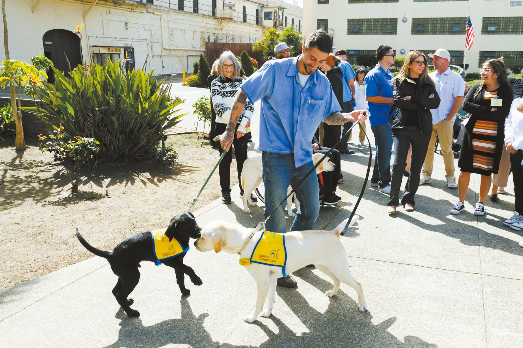 聖昆汀囚犯特別計劃：訓練小狗成為服務犬 - PressMega